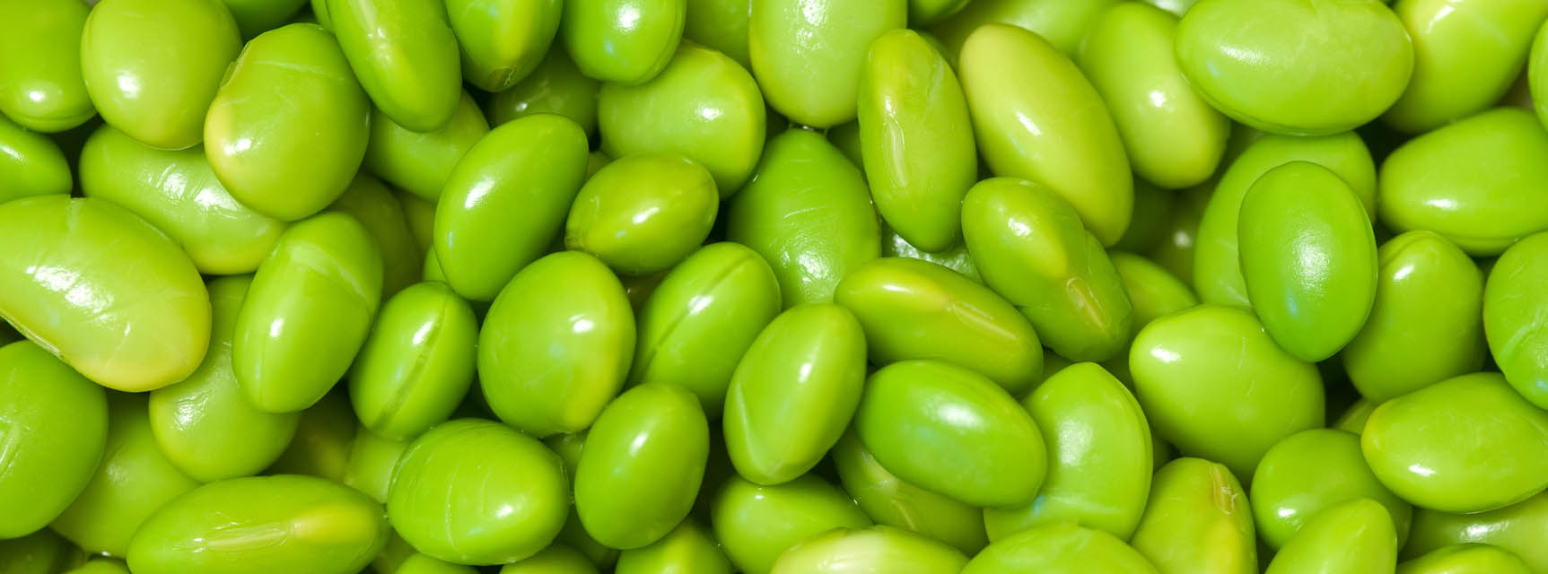 Beneficios de la soja para la salud | Vegetanea