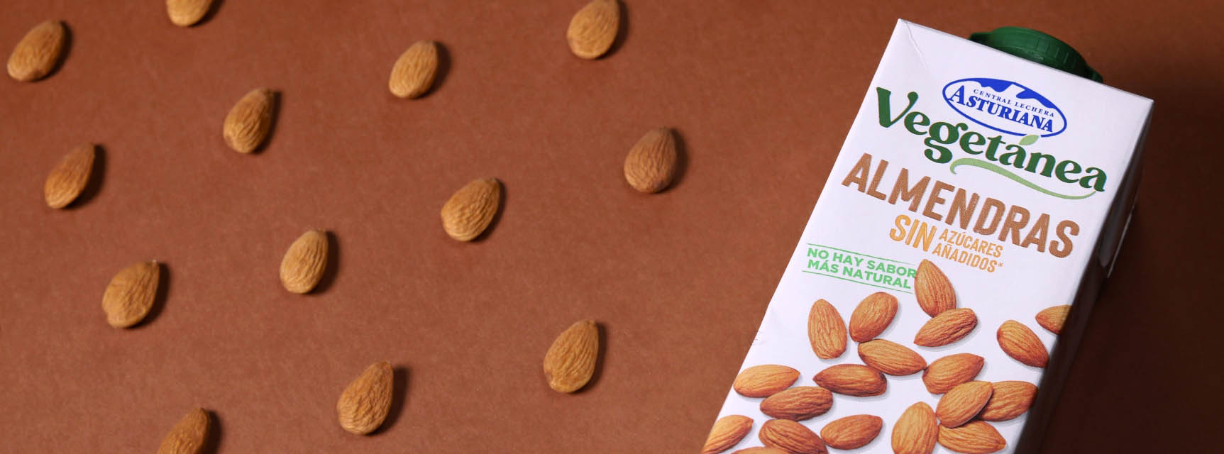 Las 5 propiedades de las almendras, ricas en proteína y fibra | Vegetánea